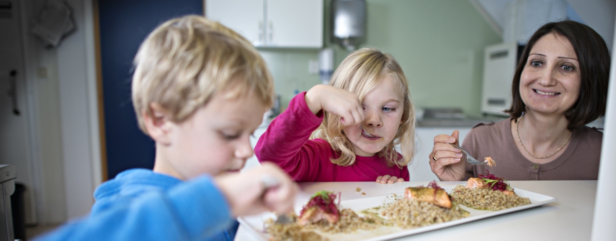 Barn og preferanser for norsk mat | Nofima