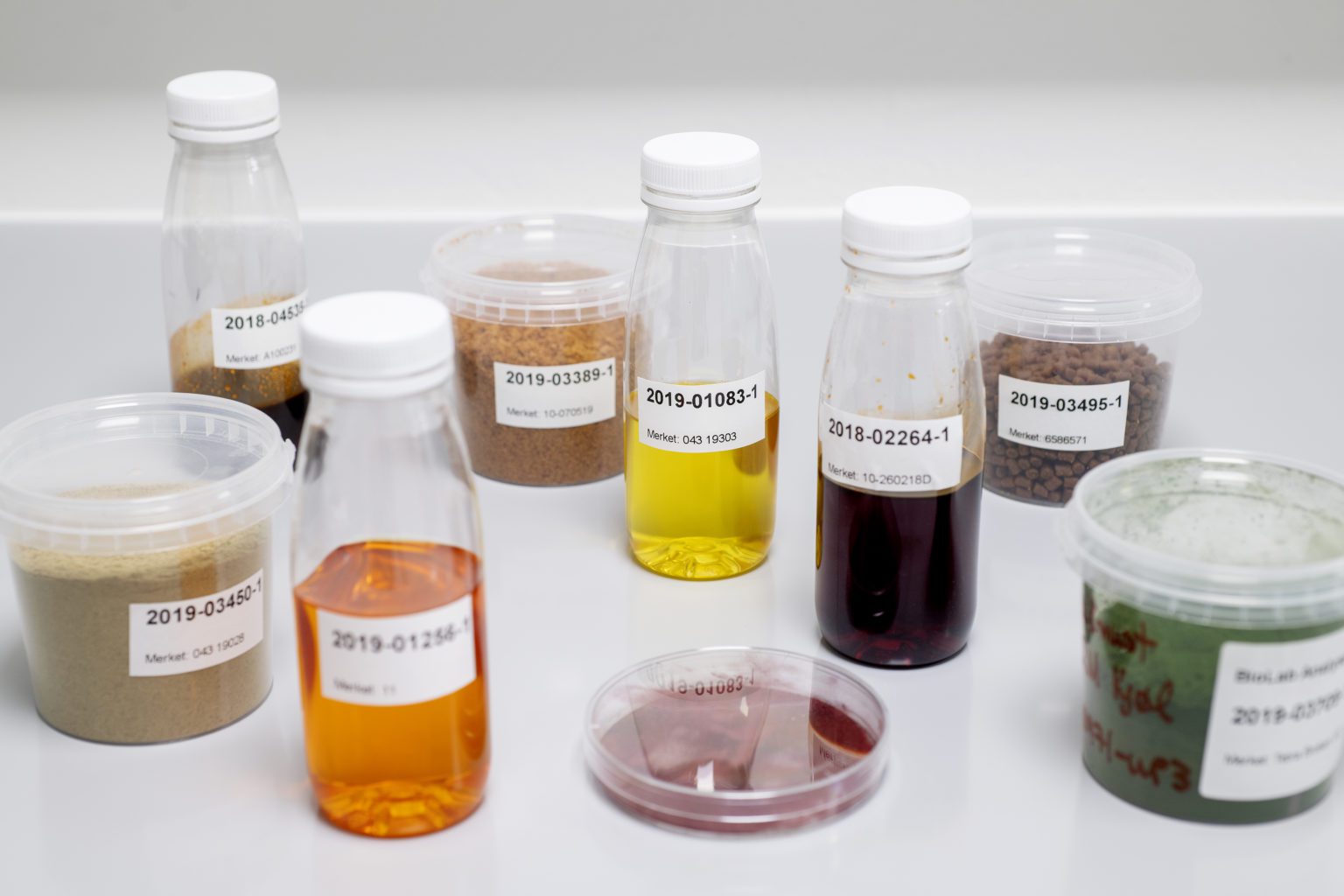 Verdt å vite om fiskefôrets kompleksitet | Nofima