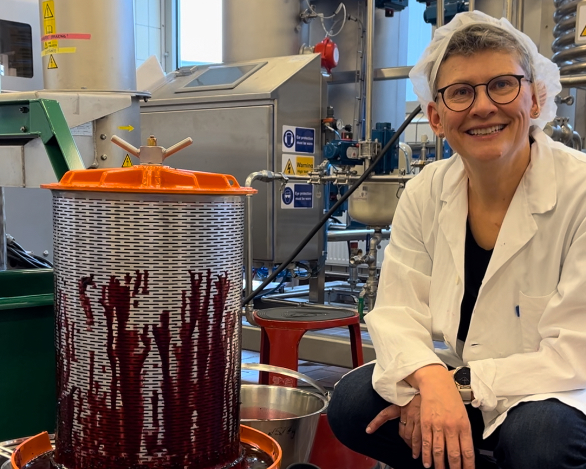 Solbærsaft holder godt på vitamin C | Nofima