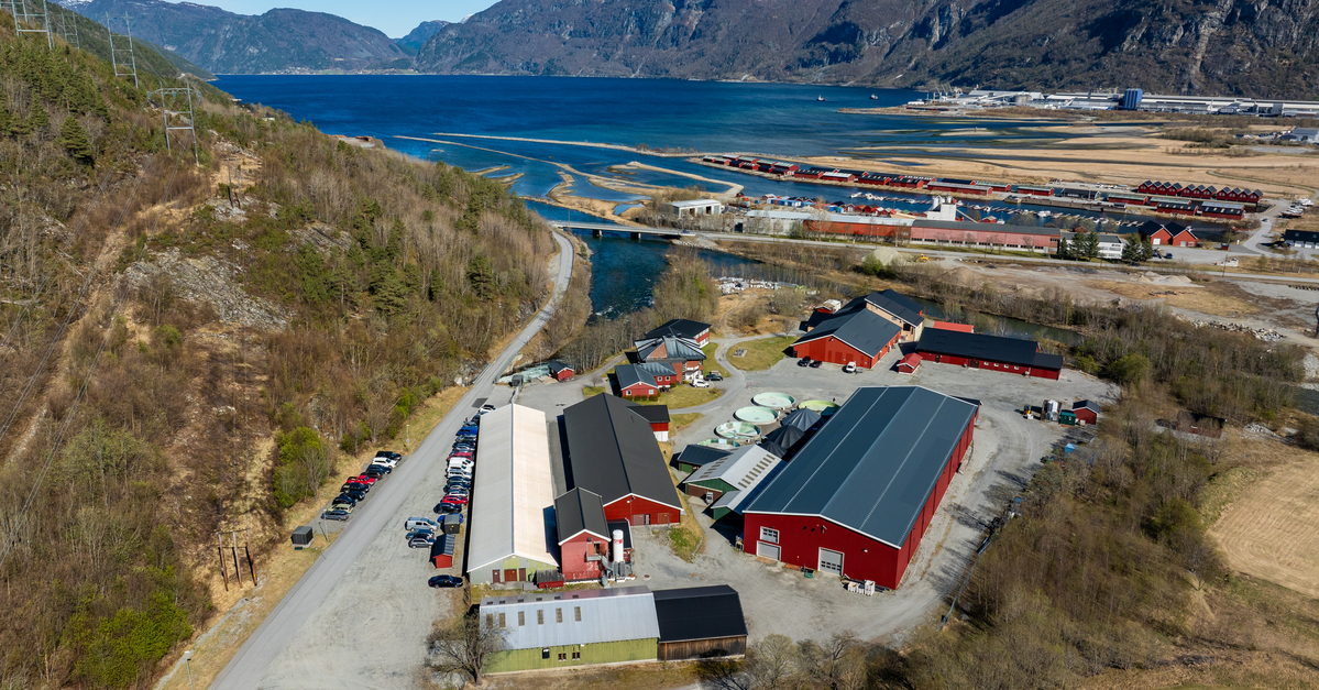 Hva kreves for vellykket smoltproduksjon i fremtiden? | Nofima