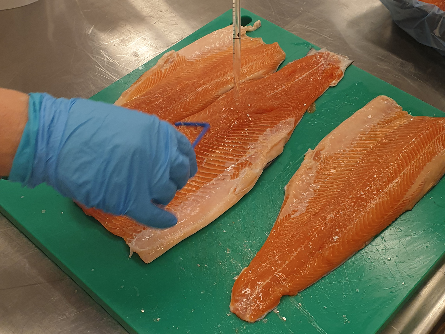 Produksjon av trygg rakfisk: slik kan Listeria unngås | Nofima